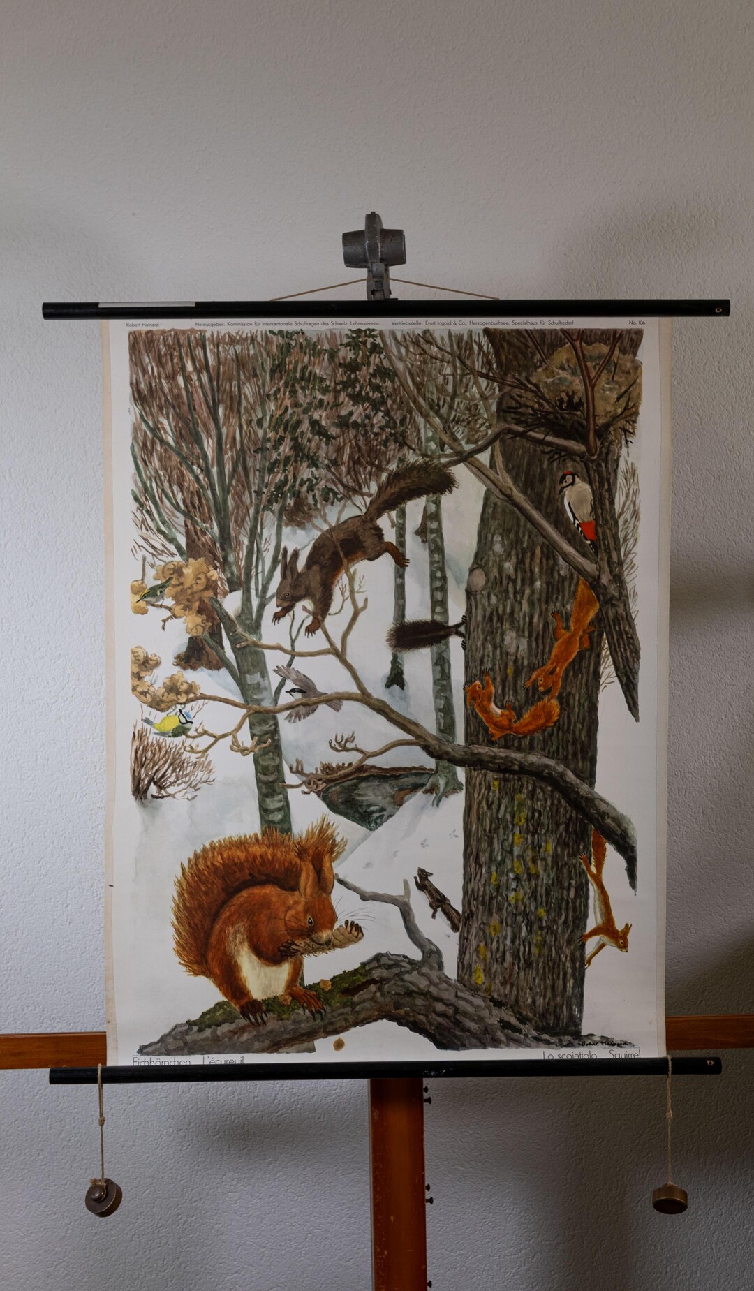 Vintage Pull Down Chart Squirrels School Chart Lithograph - Etsy