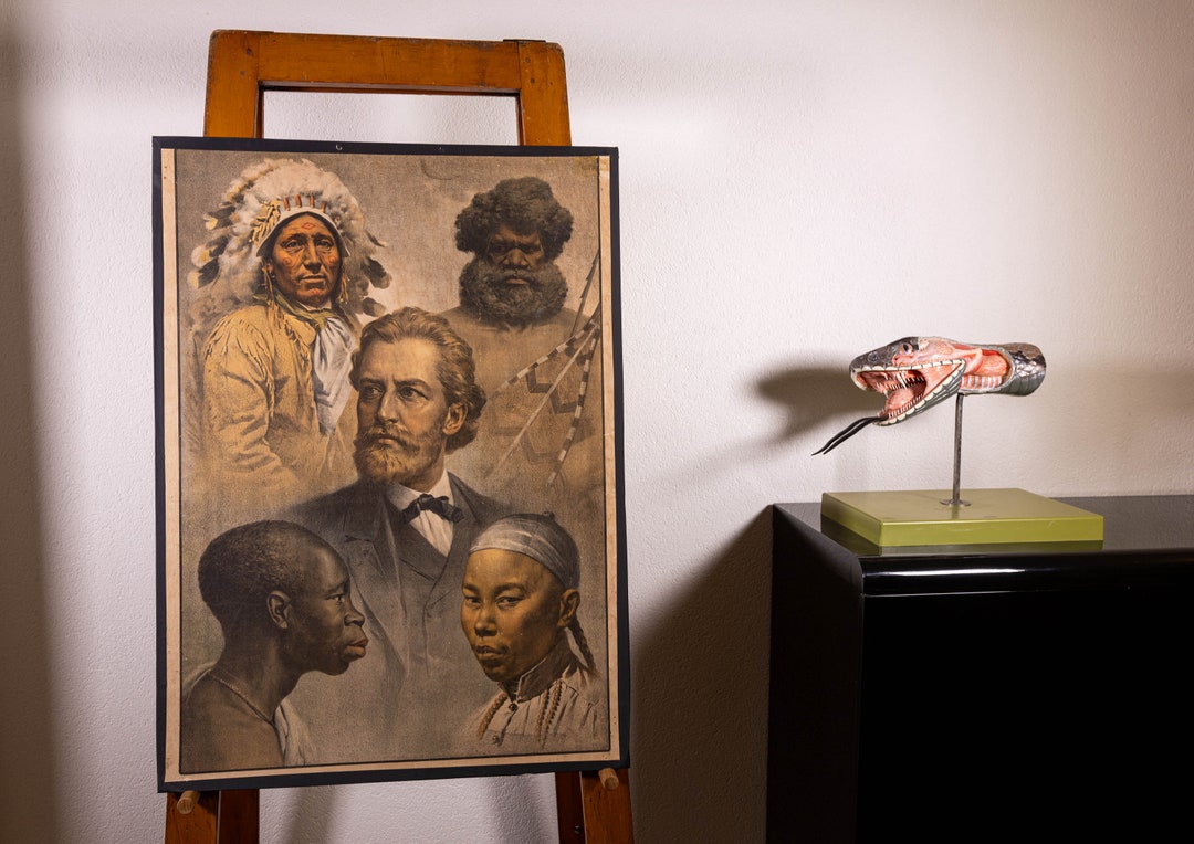 Vintage Chart Human Races School Chart - Etsy