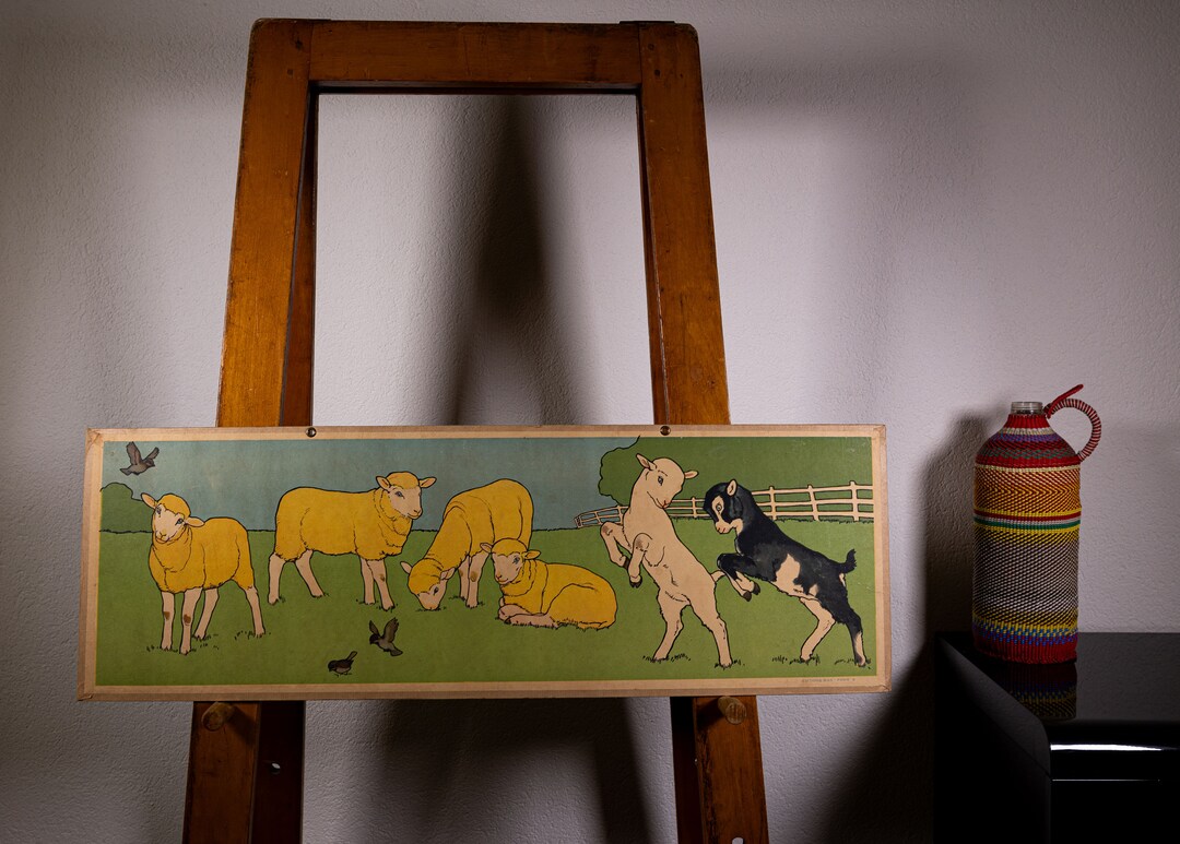 Vintage Chart Sheep School Chart Lithograph - Etsy