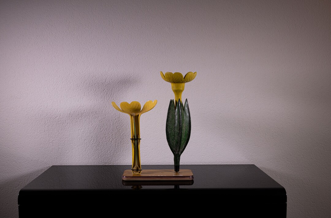 Botanical School Model Primrose Botanical Model - Etsy