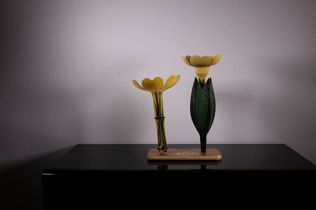 Botanical School Model Primrose Botanical Model . - Etsy