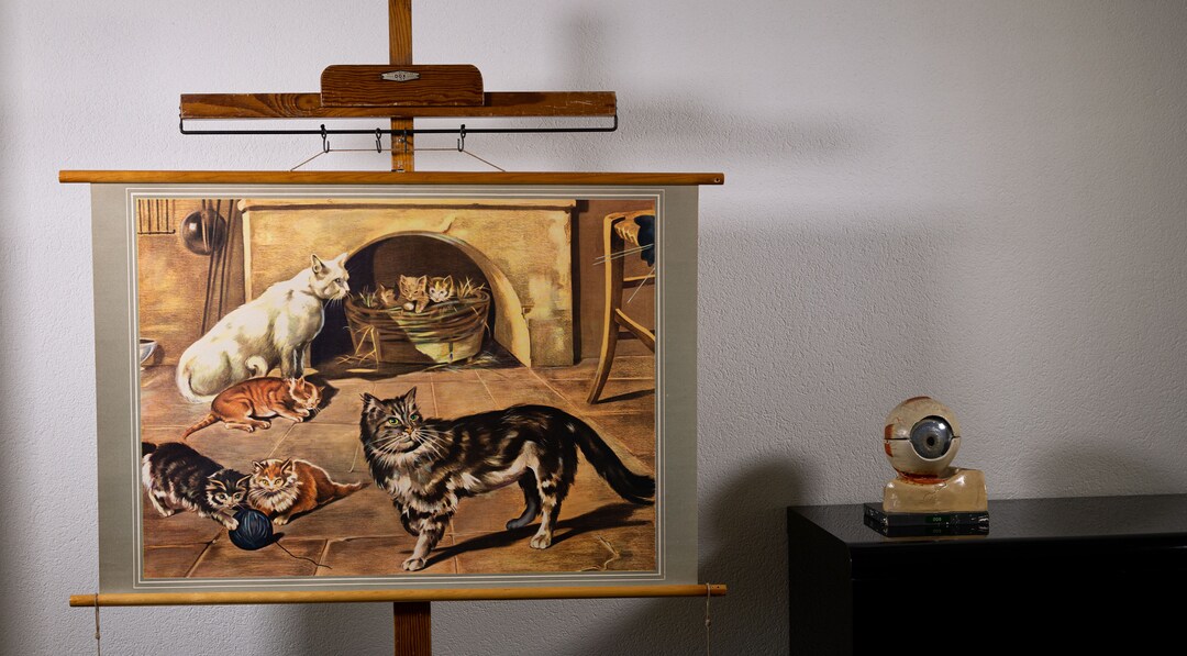 Vintage Pull Down Chart Cats School Chart - Etsy