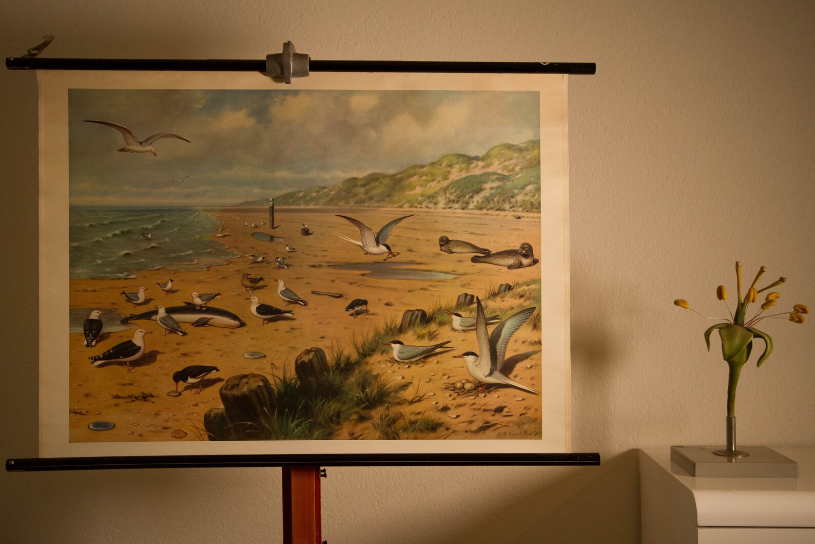 Vintage Pull Down Chart on the Beach School Chart - Etsy