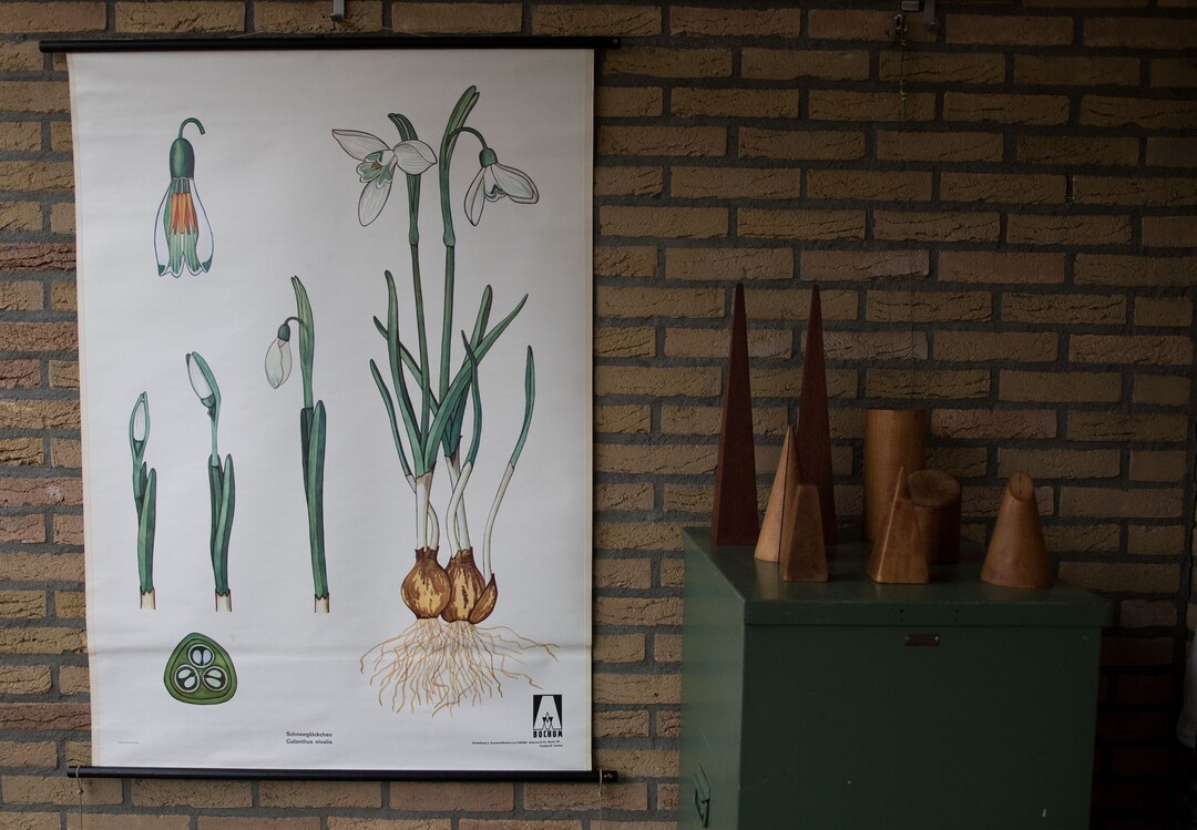 Vintage Pull Down Chart Snowdrop School Chart - Etsy