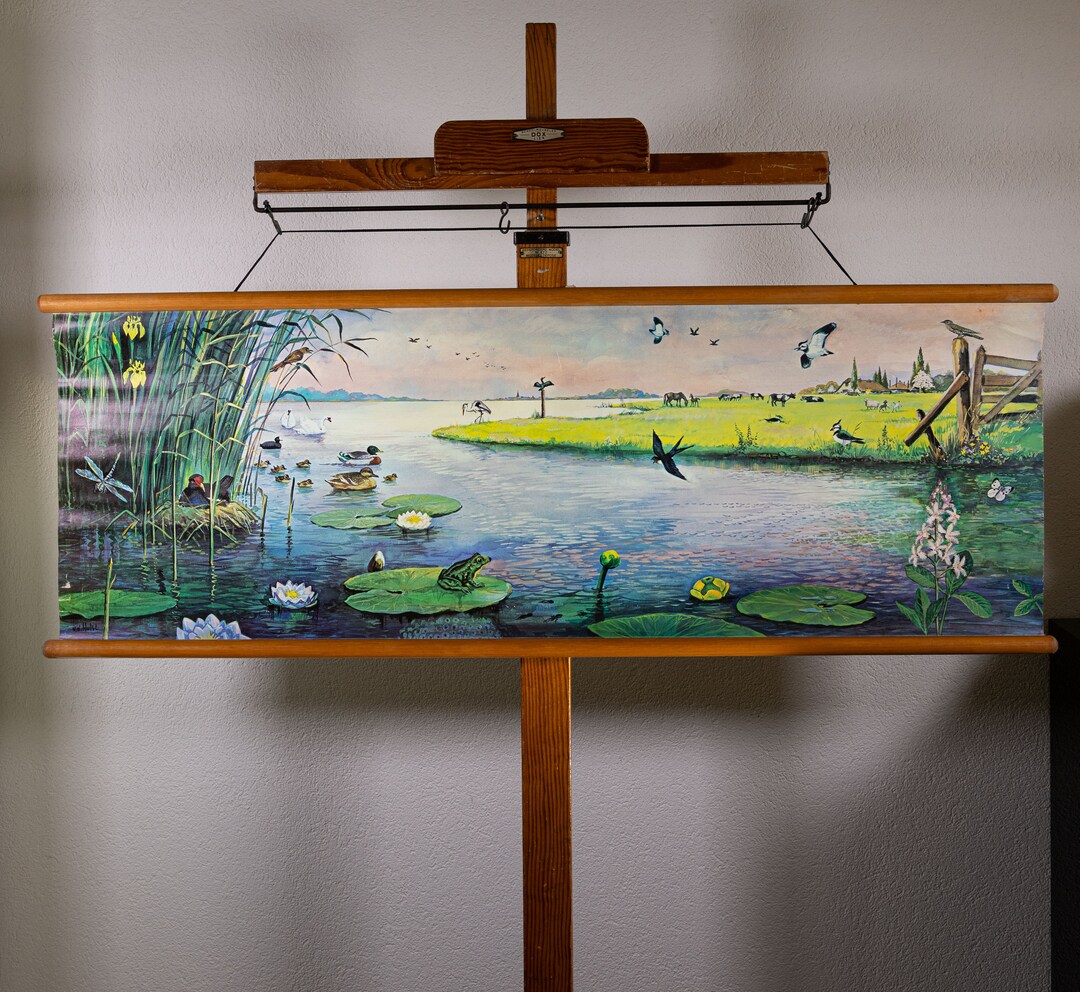 4 Vintage Pull Down Charts 4 Seasons School Charts - Etsy