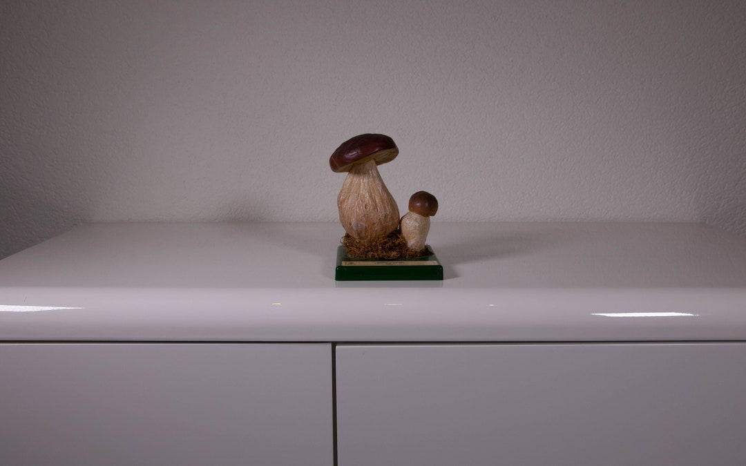 Mushroom Boletus Edulis Bull Used for Education Classroom Purposes 50/ ...