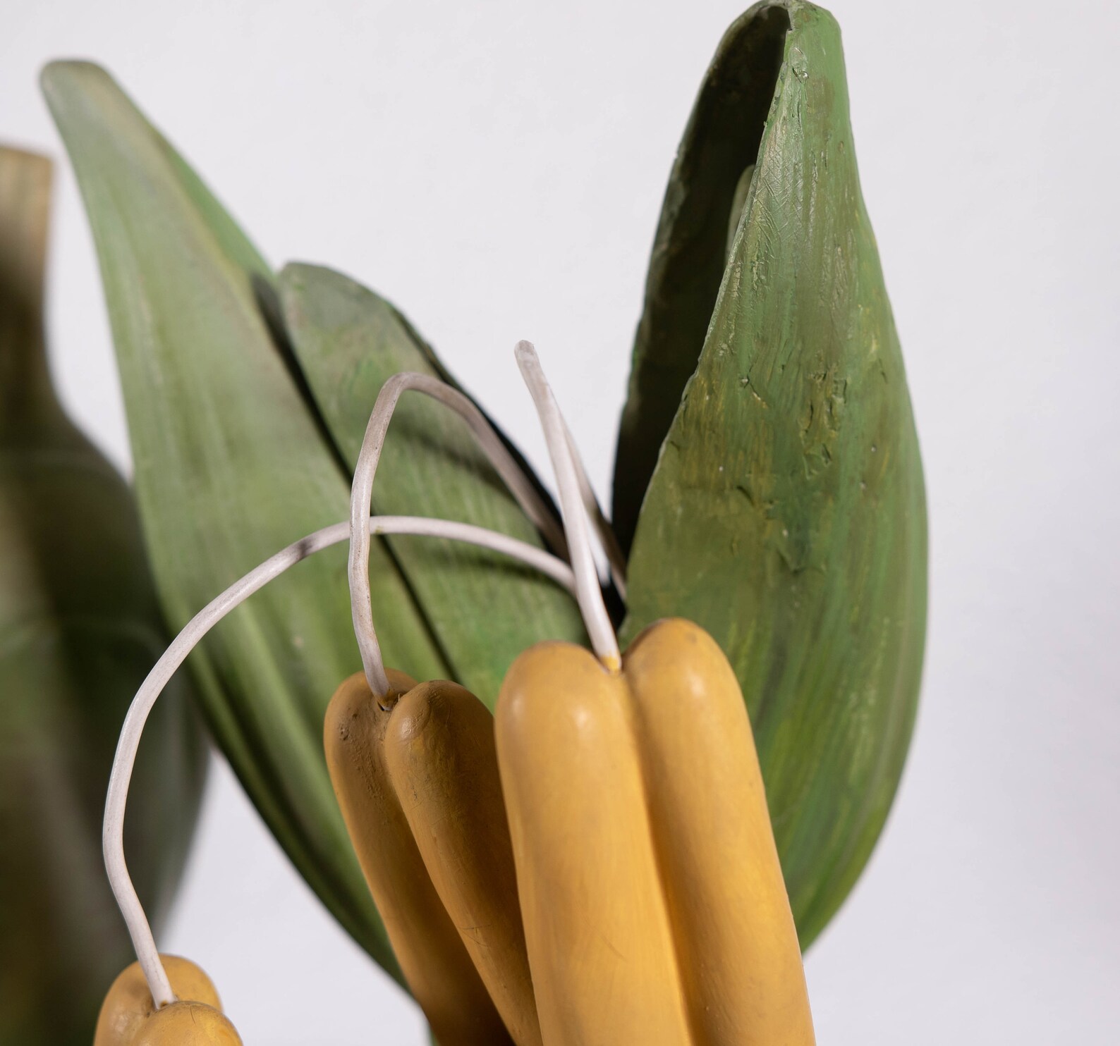 Vintage Botanical Model of Maize these Models Used for - Etsy