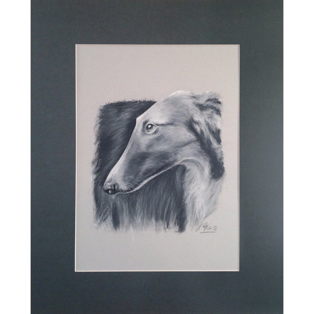 Borzoi Dog Drawing - Etsy