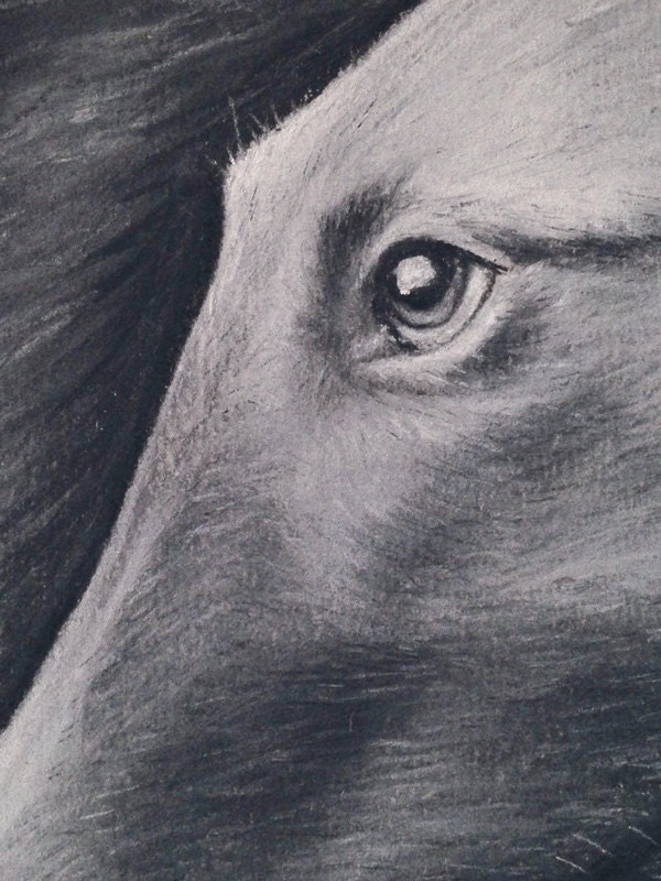 Borzoi Dog Drawing - Etsy