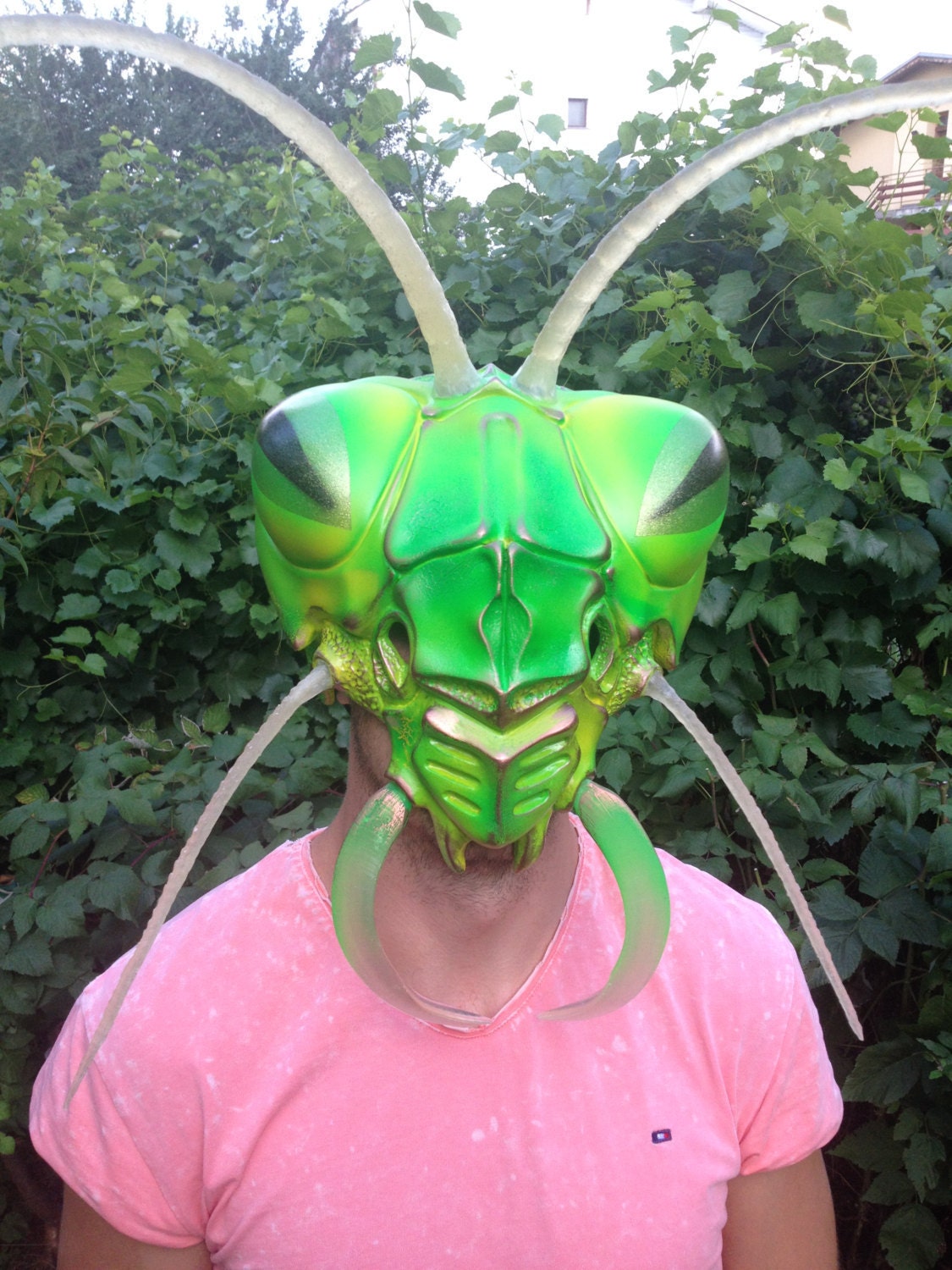 Mantis Mask: Fiberglass Insect Helmet, Halloween Costume - Etsy