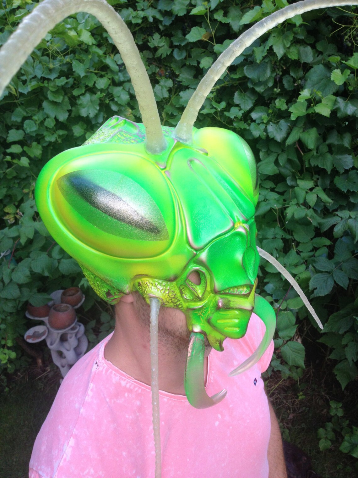 Mantis Mask: Fiberglass Insect Helmet, Halloween Costume - Etsy