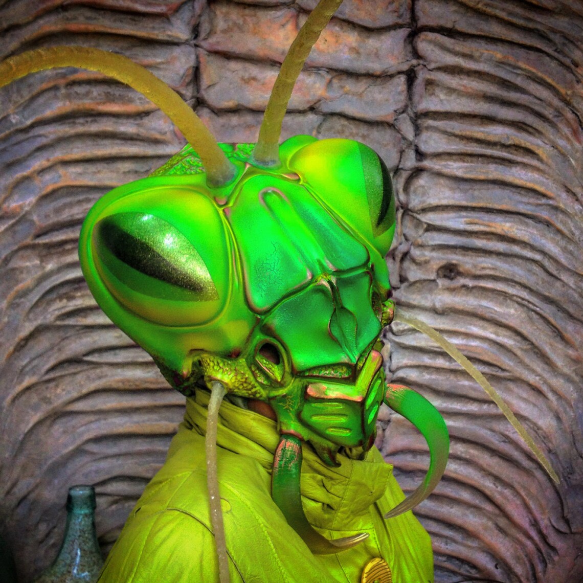 Animal Mask Halloween Mask Mantis Mask Halloween Helmet | Etsy