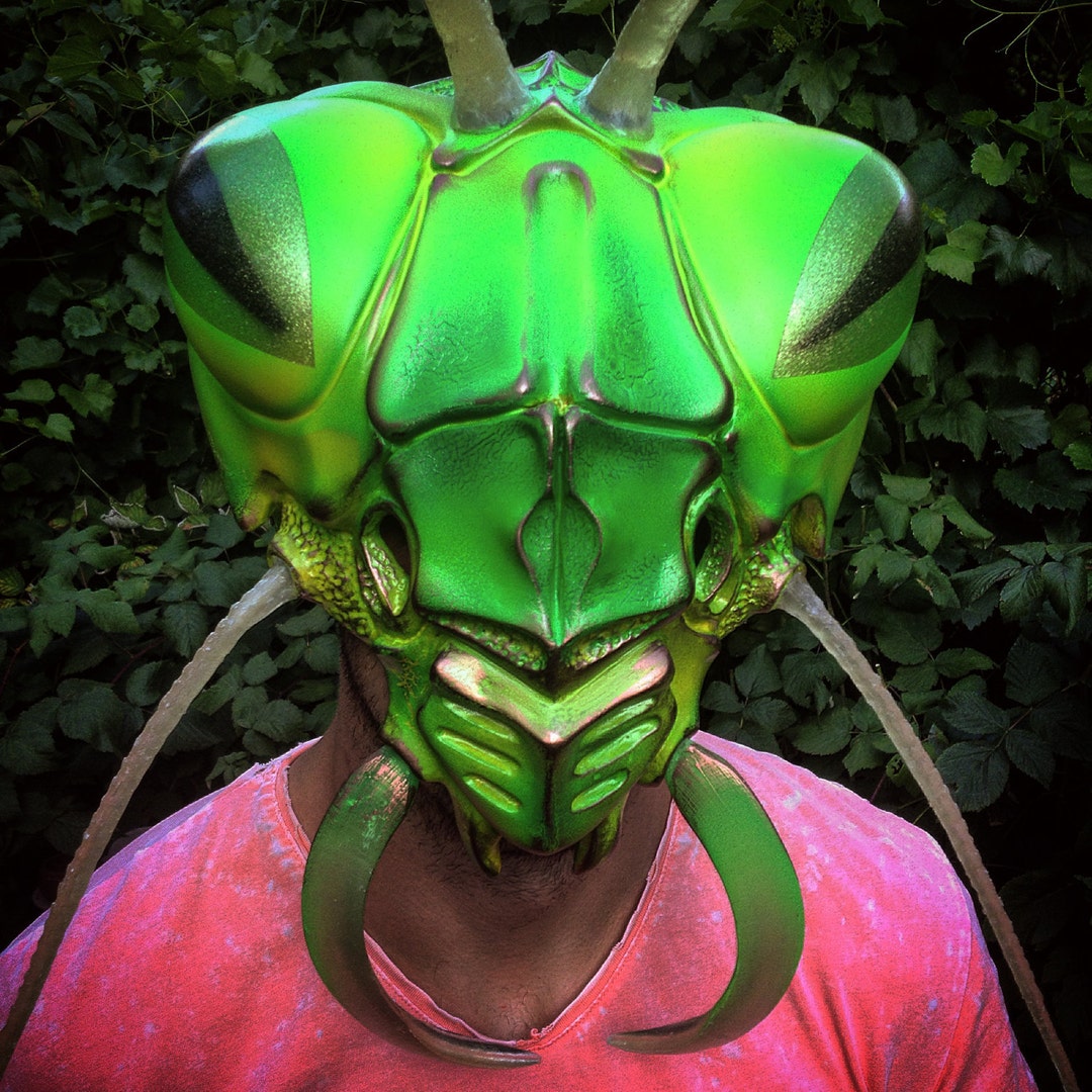 Mantis Mask: Fiberglass Insect Helmet, Halloween Costume - Etsy