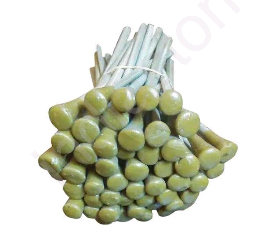 Wooden Dop Stick: Gemstone Cutting & Polishing Tool (150mm) - Etsy