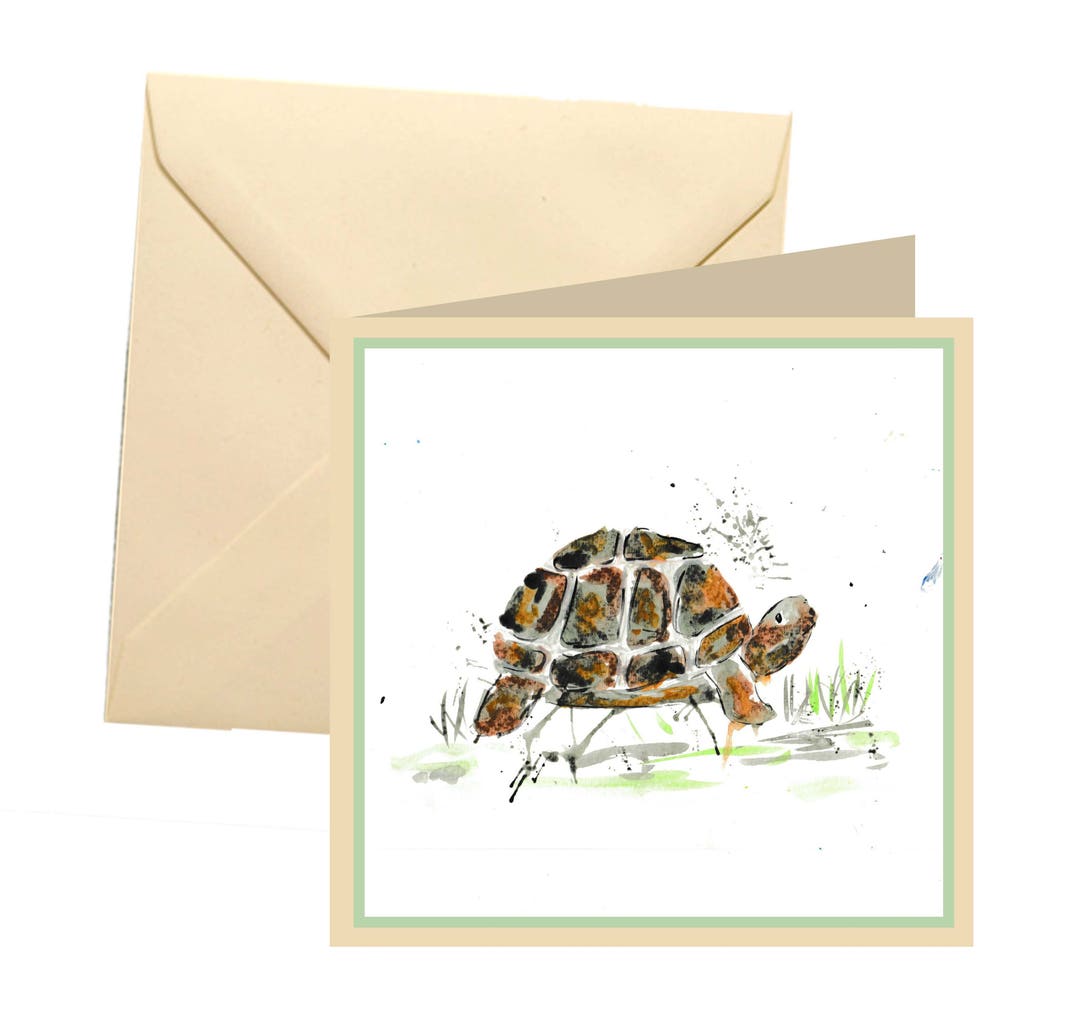 Tortoise Greetings Card, Blank Card, Greetings Card, Birthday Card ...