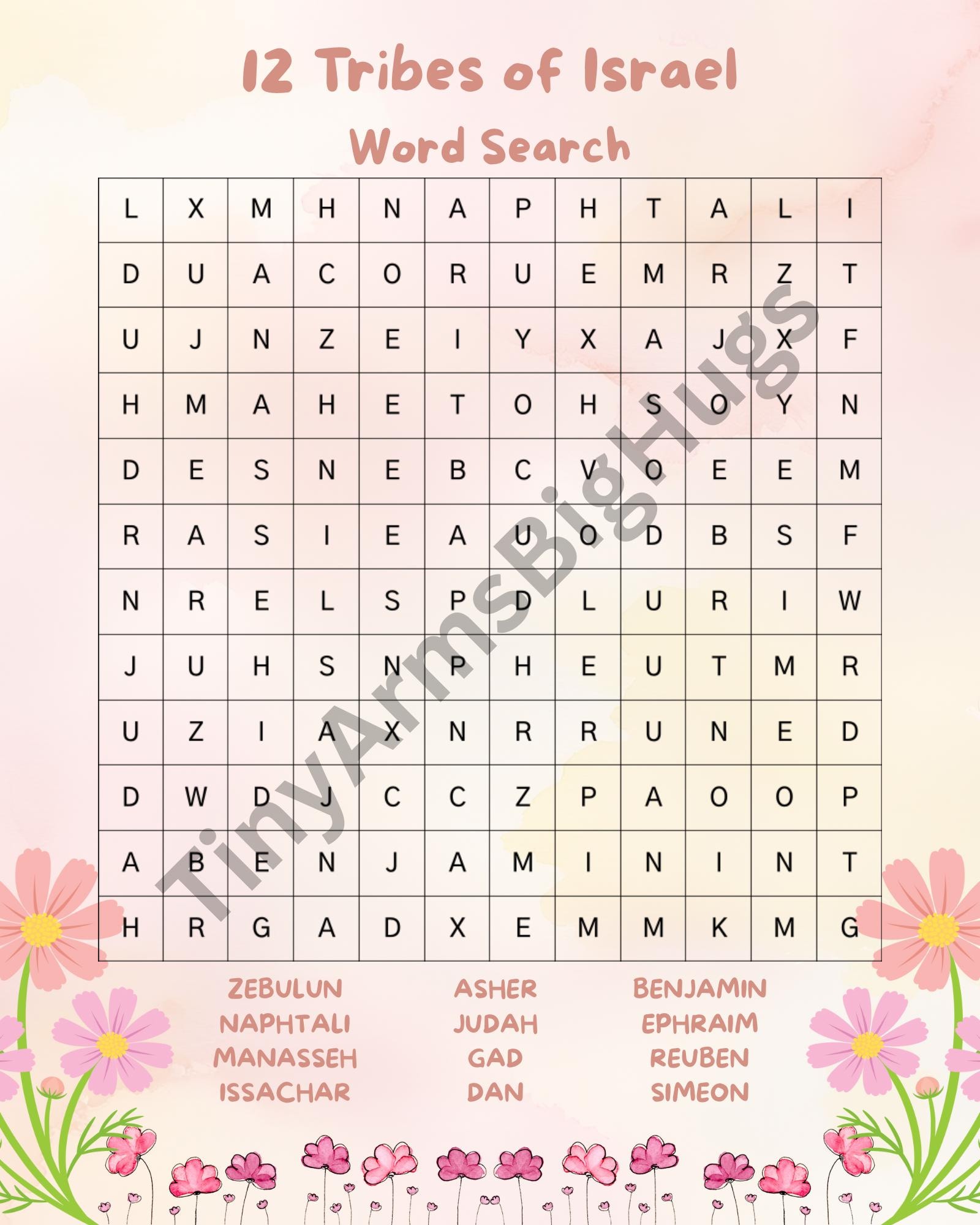 JW Kids Bible Word Search, 12 Tribes of Israel | Meeting and Assembly ...