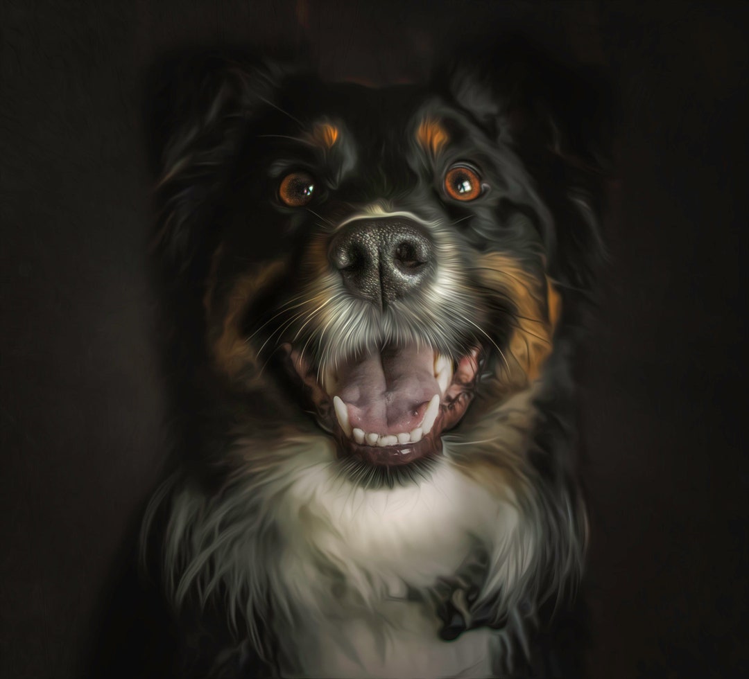 Fine Art Pet Portraits - Etsy