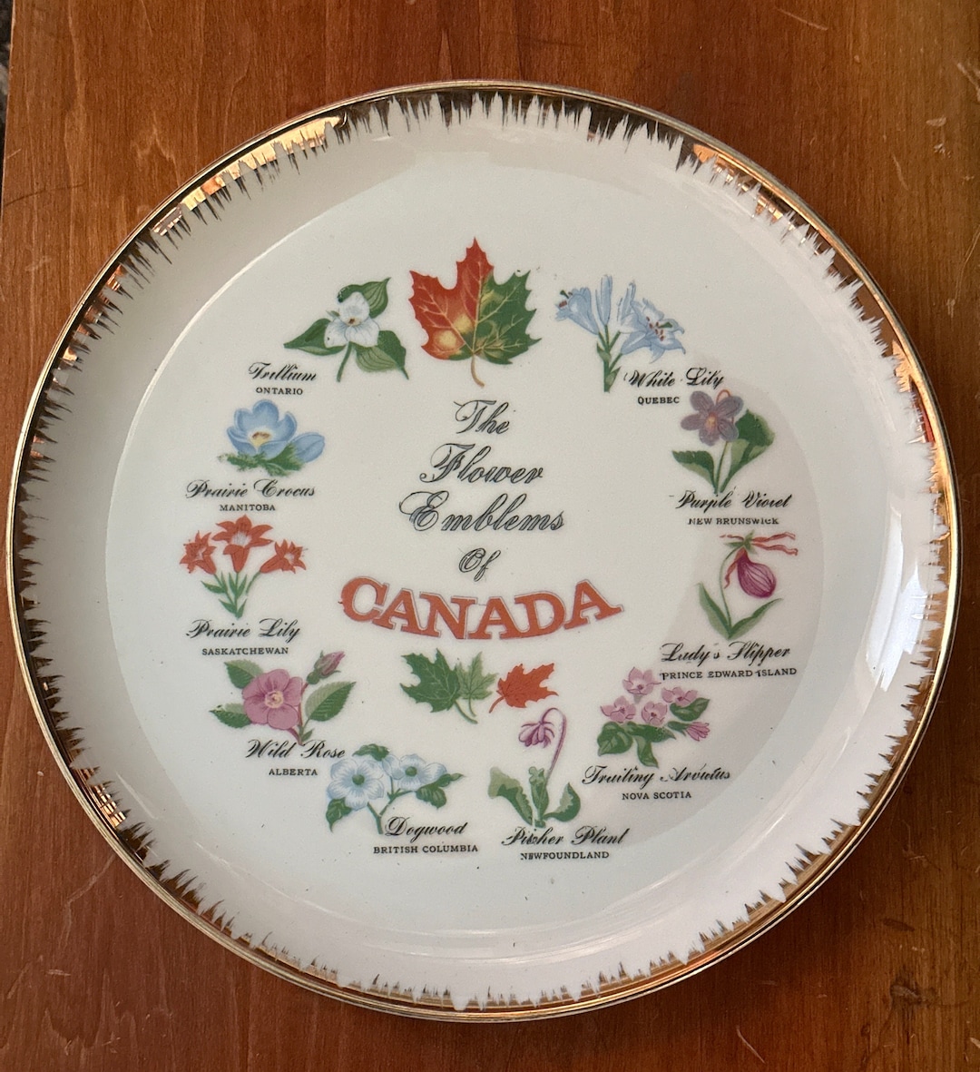 Vintage Canadian Souvenir Plate - Etsy
