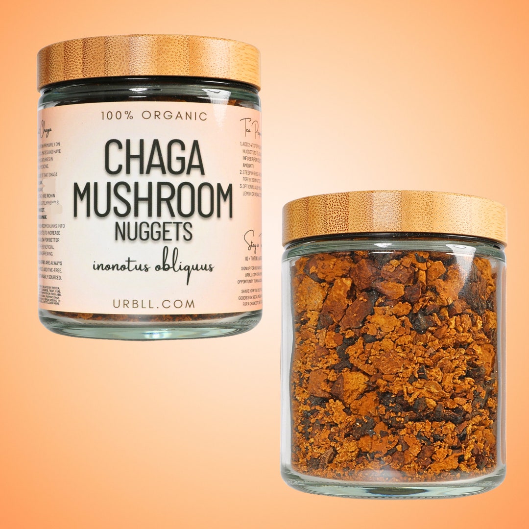 Chaga Mushroom Nuggets in Glass Jar Organically Grown Inonotus Obliquus ...