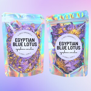 Blue Lotus Flower - Etsy