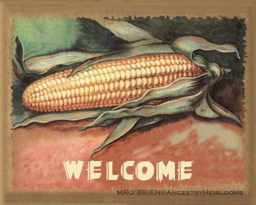 Welcome Corn is the Prize of Summer Harvest and a Symbol of Hospitality ...