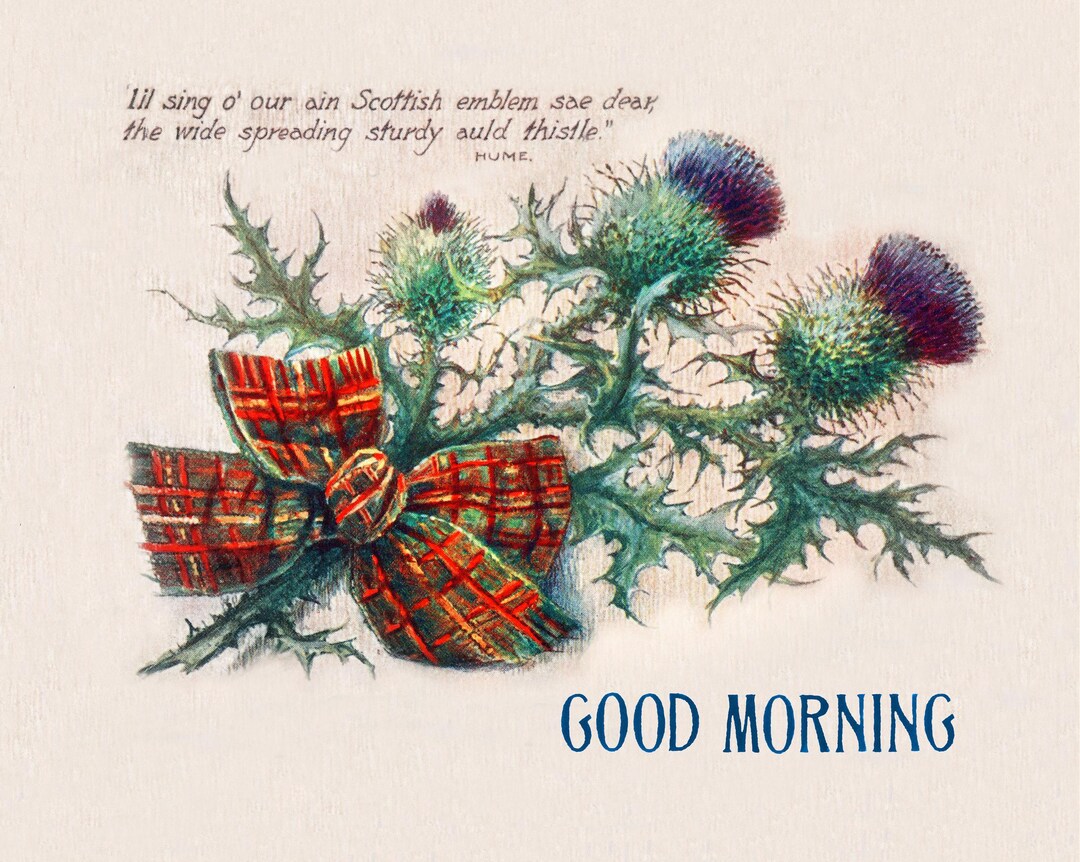Good Morning Print, Wake to Purple Thistles, Emblem of Scotland, Poem ...