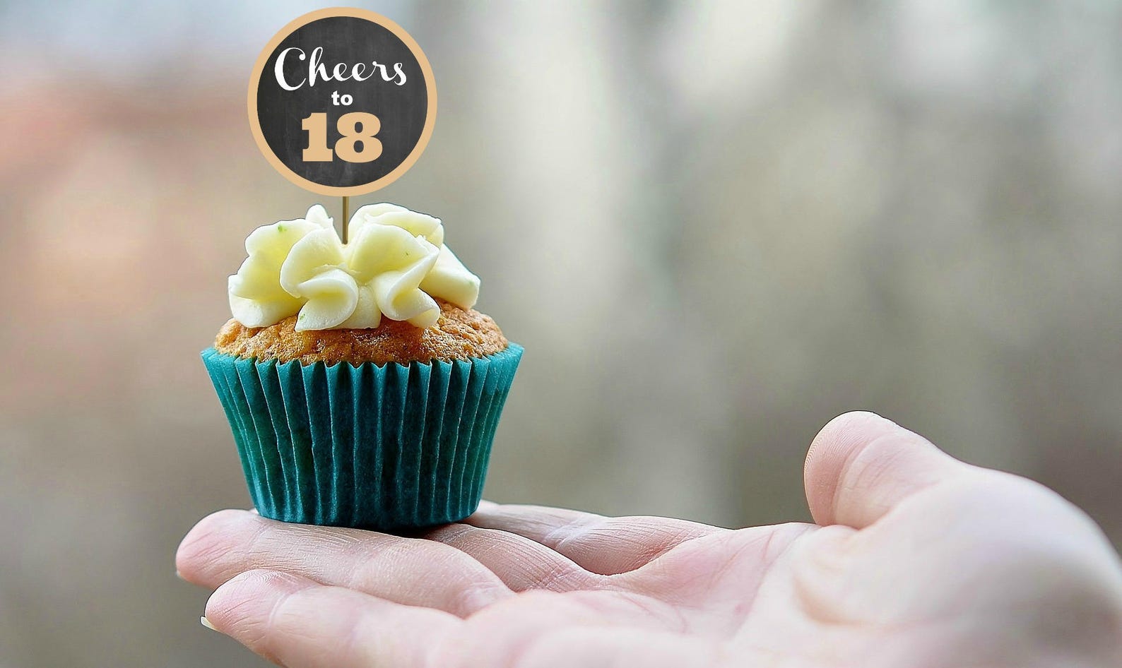 18th Birthday Cupcake Toppers DIY Cupcake Topper 18th | Etsy