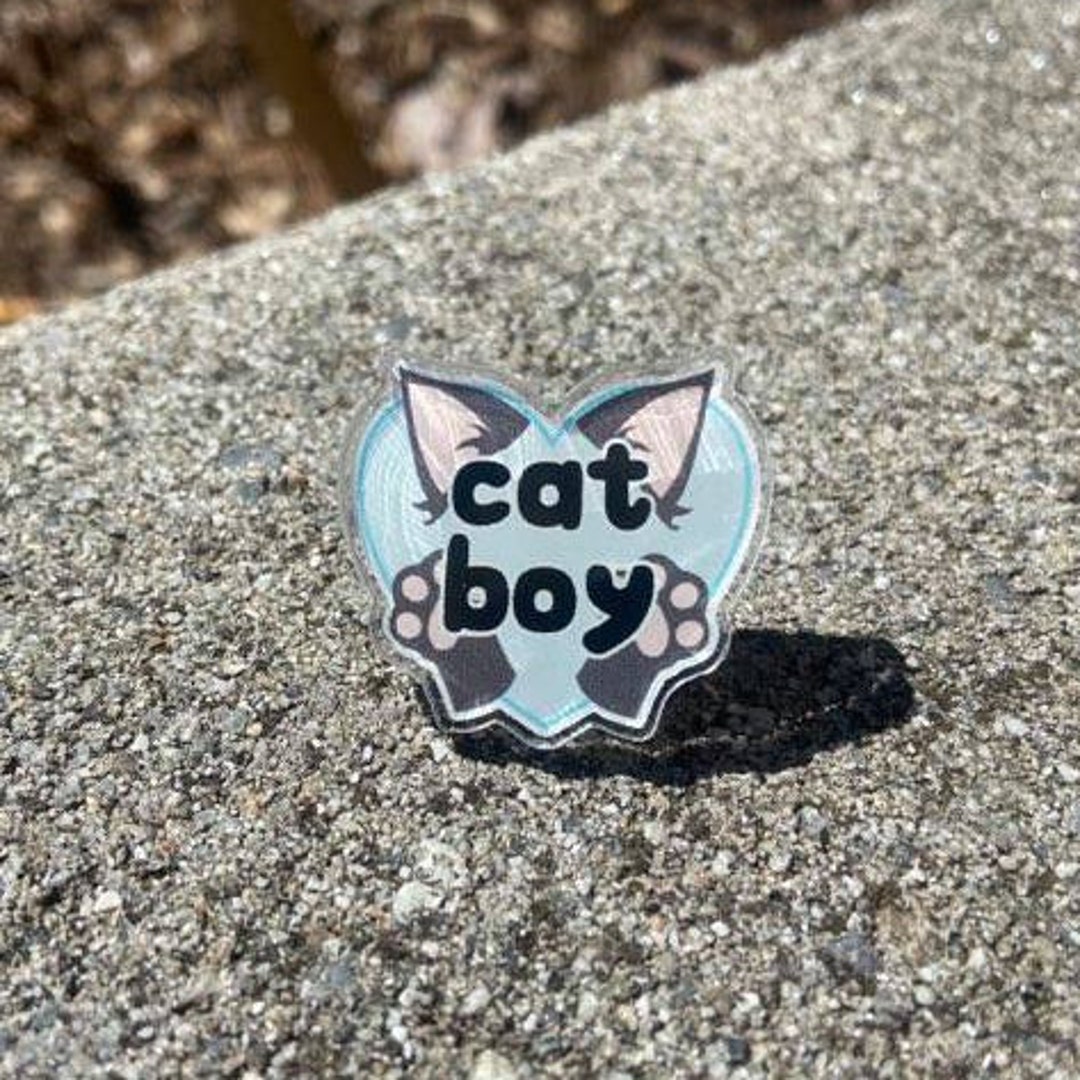 Catboy Acrylic Pin 1.5 Inch - Etsy