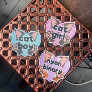 Catboy / Catgirl / Nyanbinary 3 Vinyl Stickers - Etsy