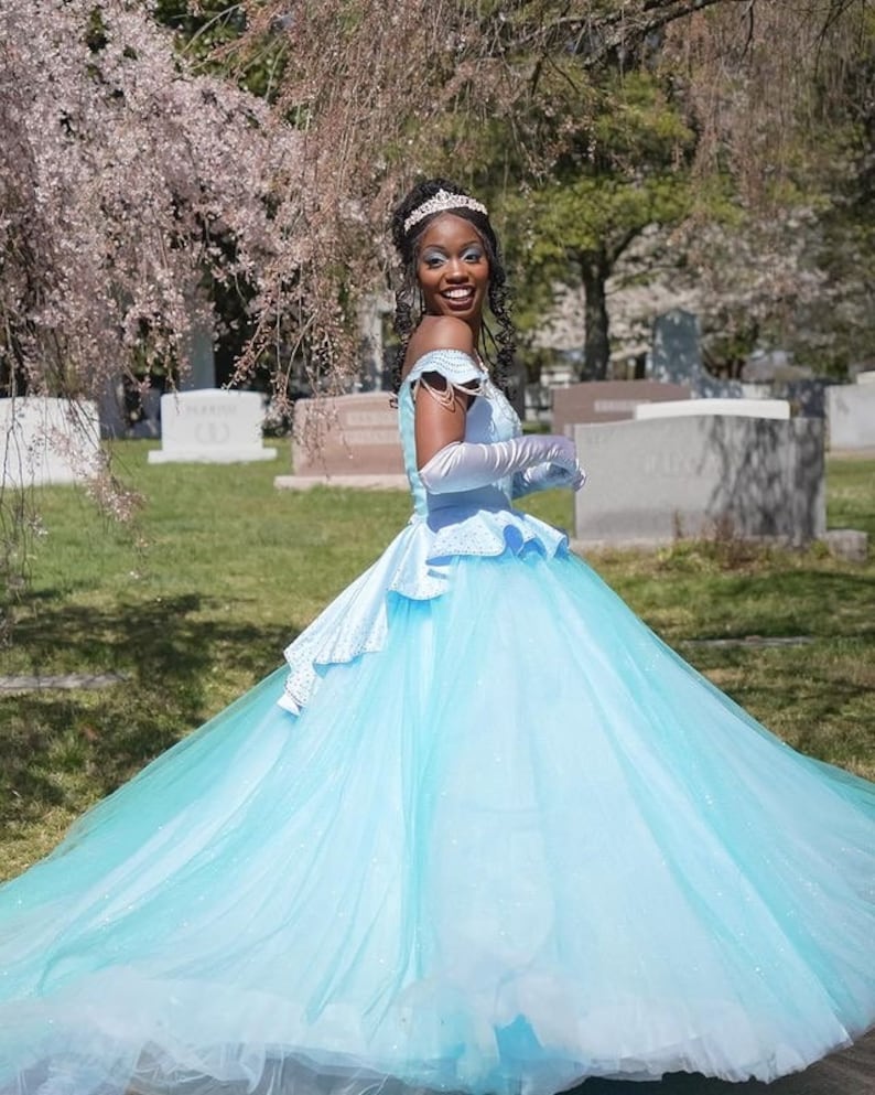 Brandy Cinderella Costume in Blue Verison - Cinderella Dress ...