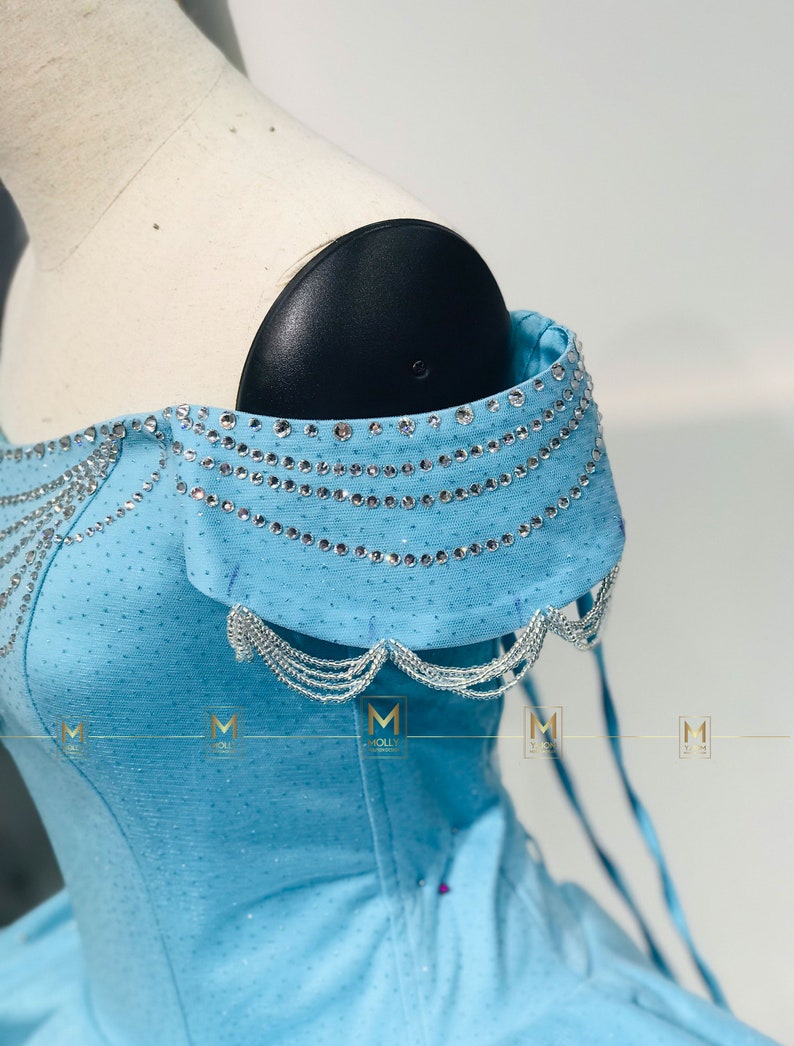 Brandy Cinderella Costume in Blue Verison - Cinderella Dress ...