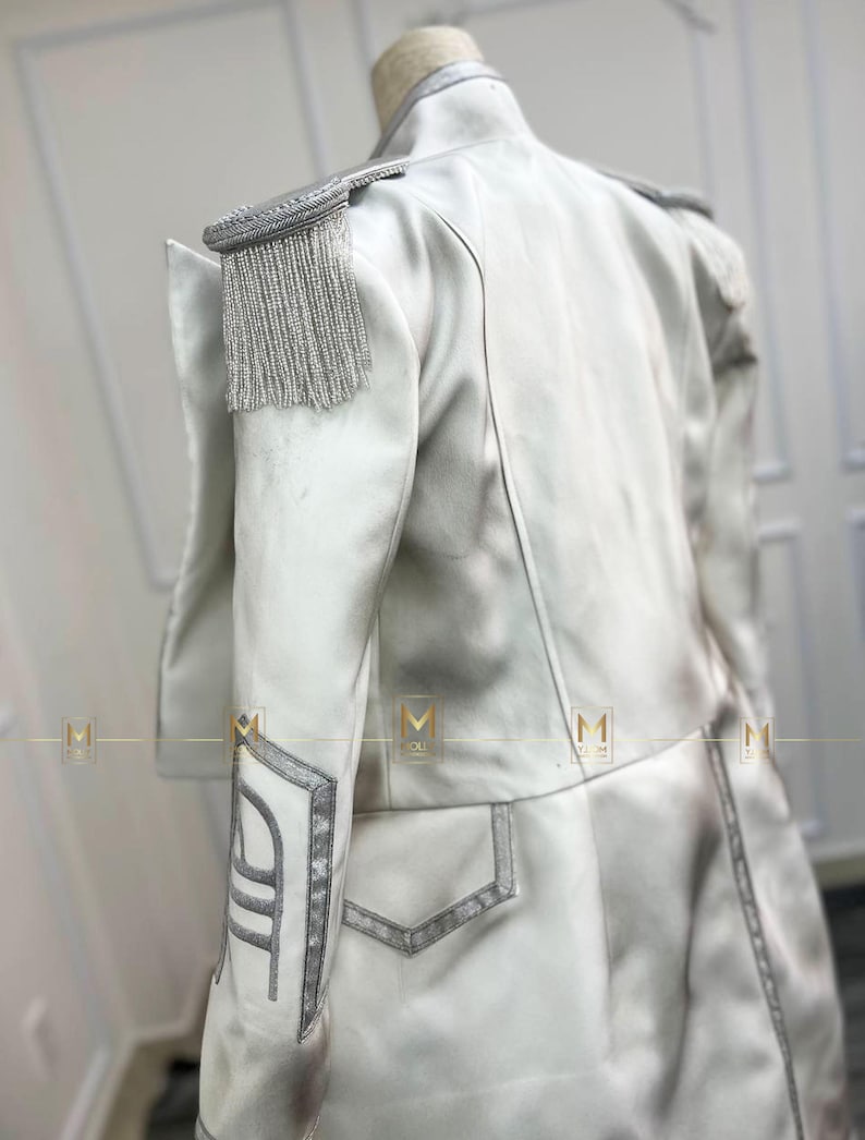 Tortured Poets Department Dress and the Coat Inspired Eras Outfit ...