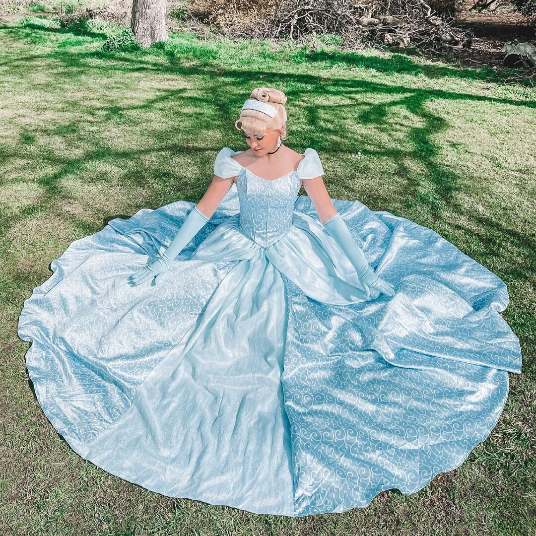 Cinderella Disney Park Inspired, Cinderella Adult Costume Cosplay Dress ...