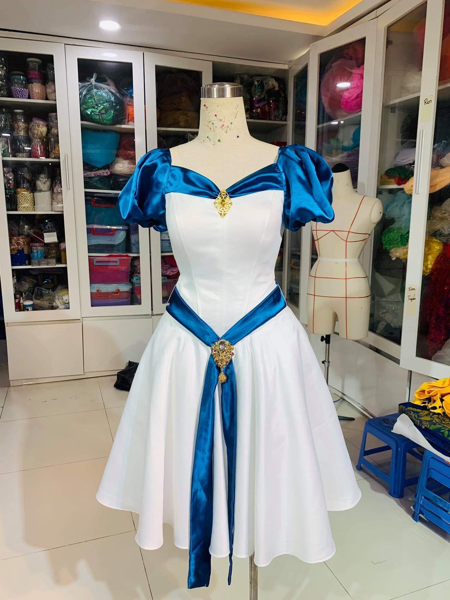 Swan Princess Dress Odette Dress Cosplay Dress Short | Etsy