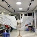 Articulated Wings With Remote Control,cosplay Costume Big Wings Moving ...