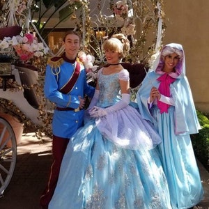 Sparkly Cinderella Dress, Disney Princess, Cinderella Costume, Disney ...