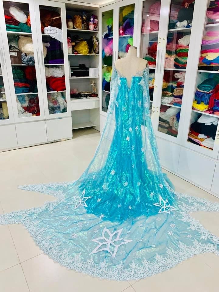 Elsa Costume, Sparkly Fashion Elsa, Frozen Disney Princess, Disney ...