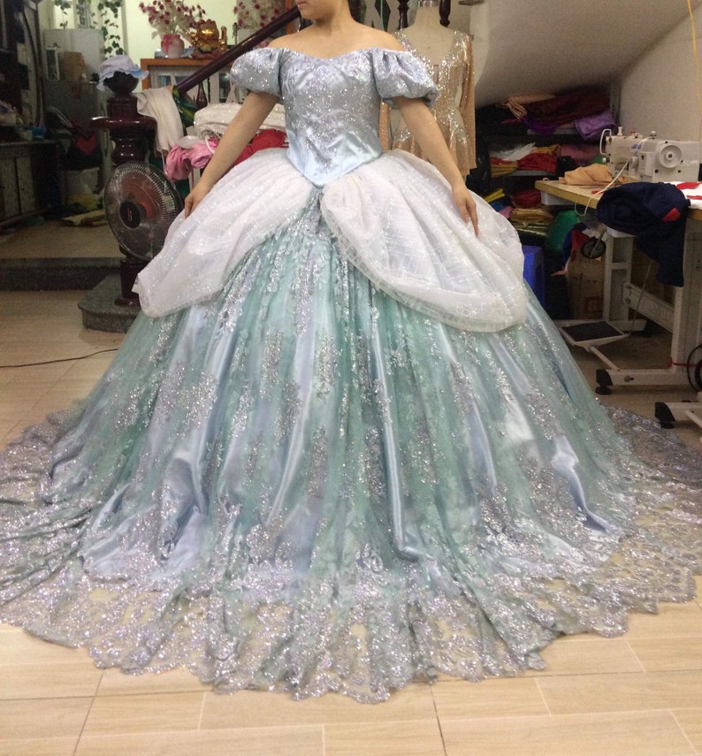 Sparkly Cinderella adult Cinderella Costume Disney | Etsy