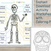 Printable Skeleton Activity Pack, Coloring Page, Kids Learning Science ...