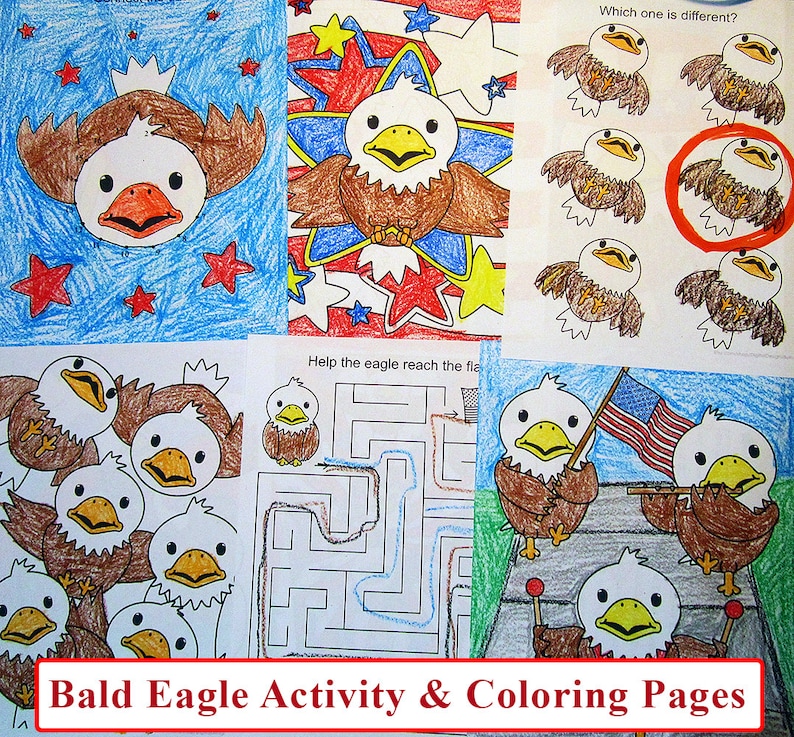 12 Bald Eagle Activity & Coloring Pages USA Patriotic Printables - Etsy