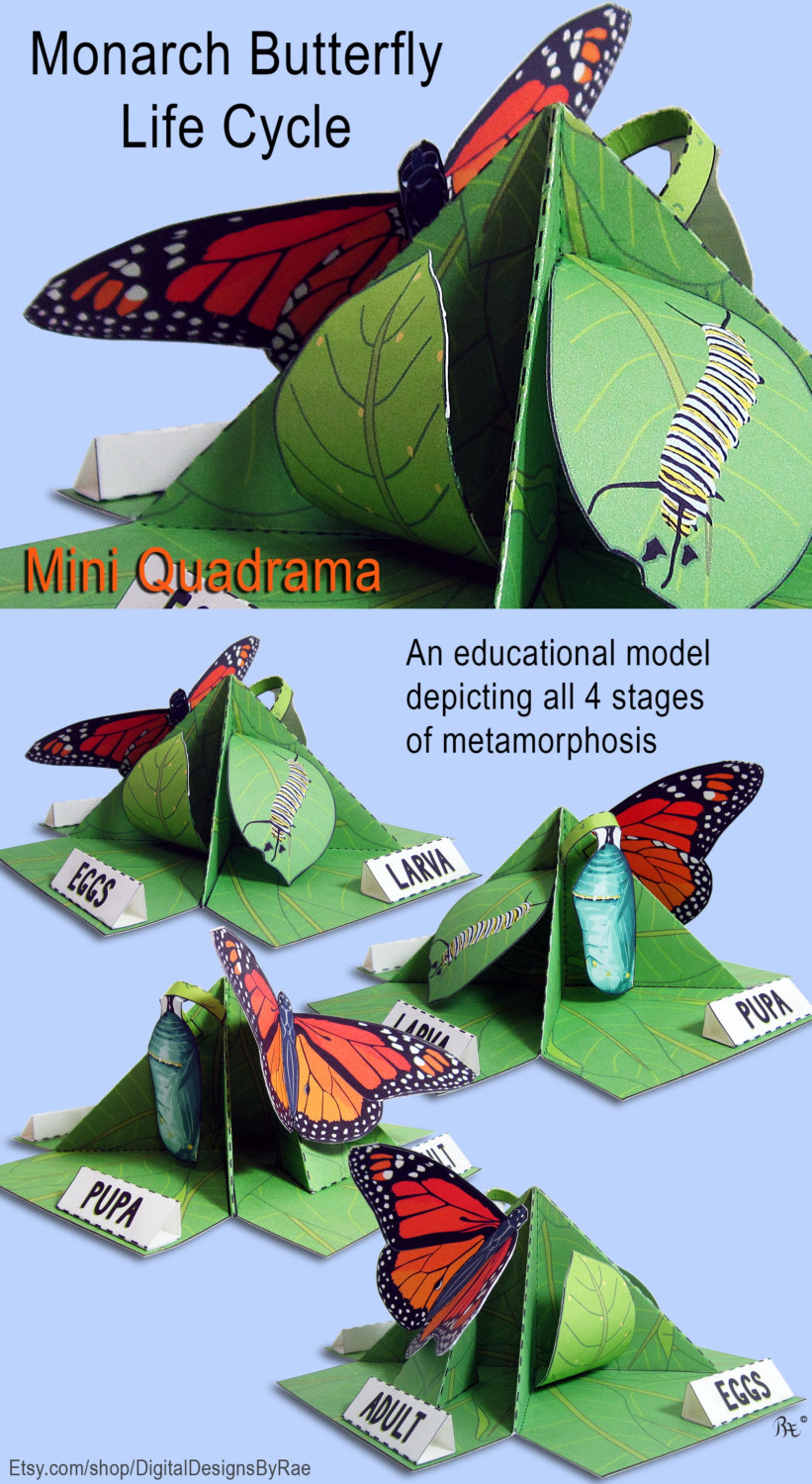 Monarch Butterfly Life Cycle Mini Quadrama Educational Paper Toy Model ...
