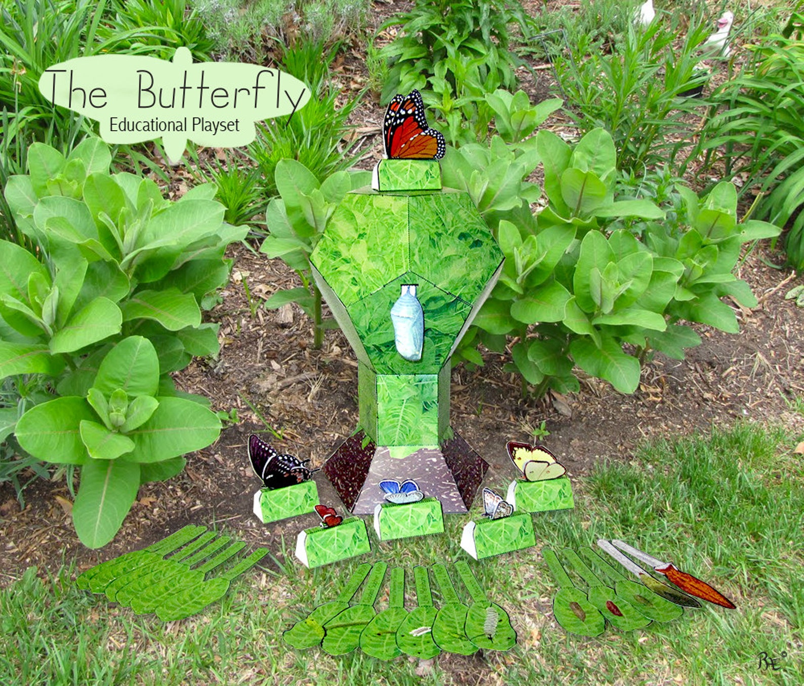 The Butterfly Paper Toy Educational Life Cycle Playset | Etsy