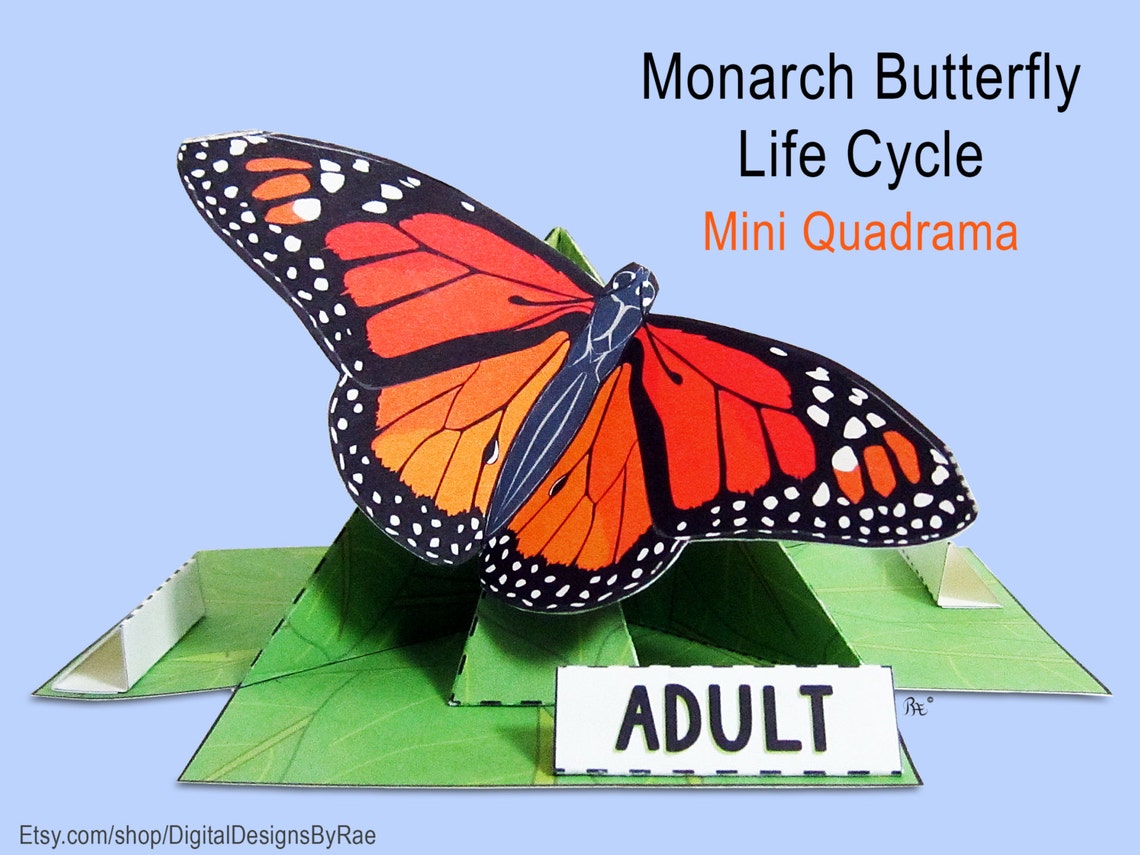 Monarch Butterfly Life Cycle Mini Quadrama Educational Paper Toy Model ...