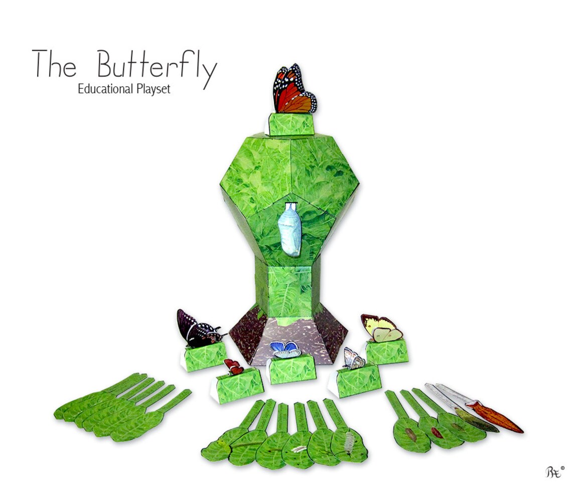 The Butterfly Paper Toy Educational Life Cycle Playset | Etsy