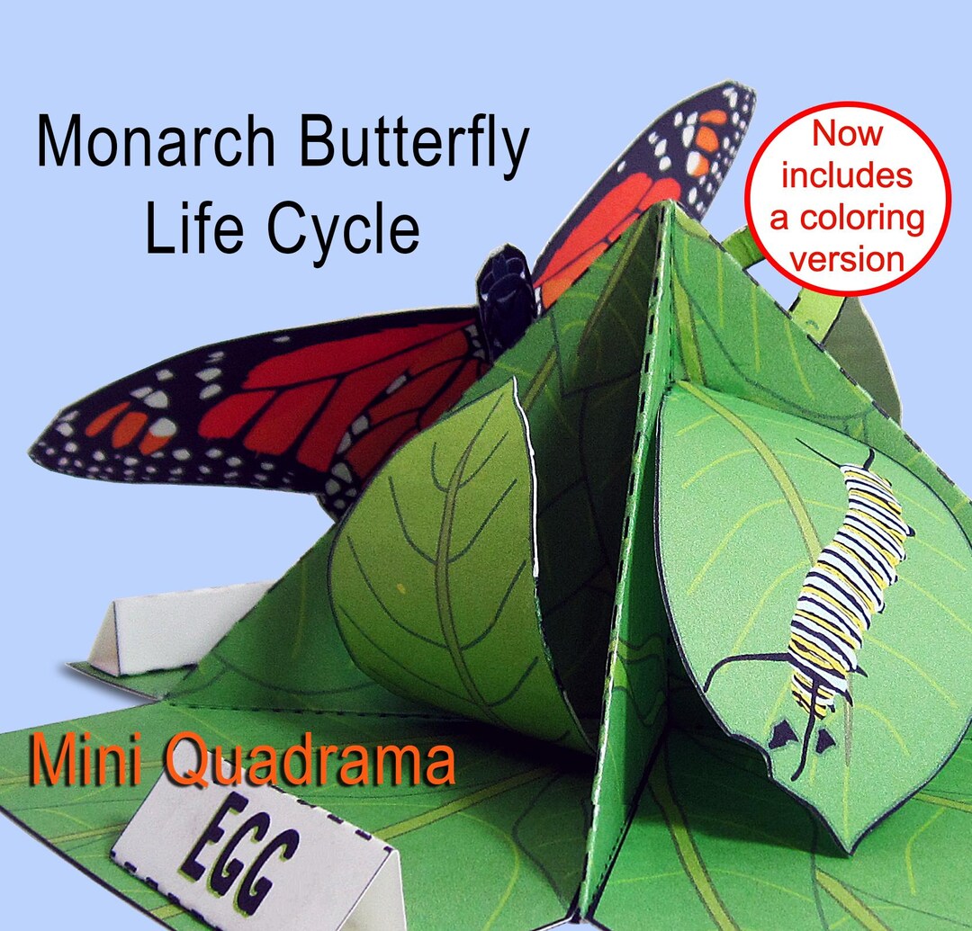 Monarch Butterfly Life Cycle Mini Quadrama Educational Paper Toy Model ...