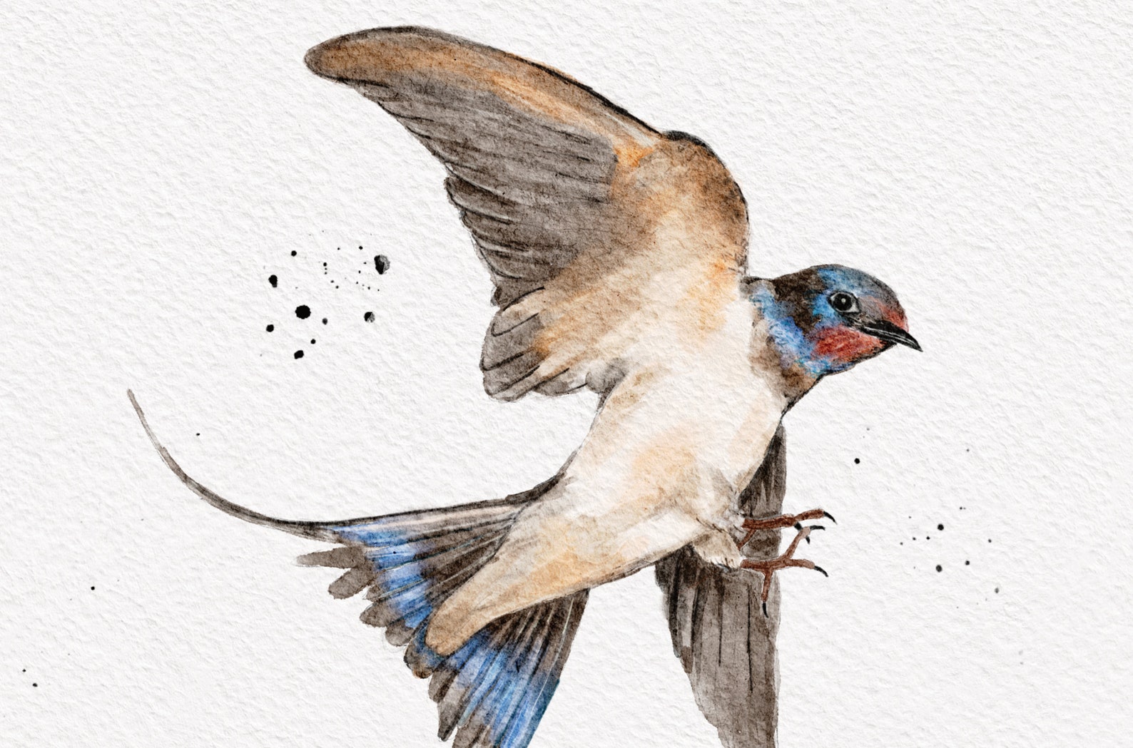 Watercolor Bird No.4 - Barn Swallow Printable Wall Art, Abstract Art ...