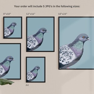 Pigeon Illustration - Printable Wall Art, Nature Poster, Instant ...