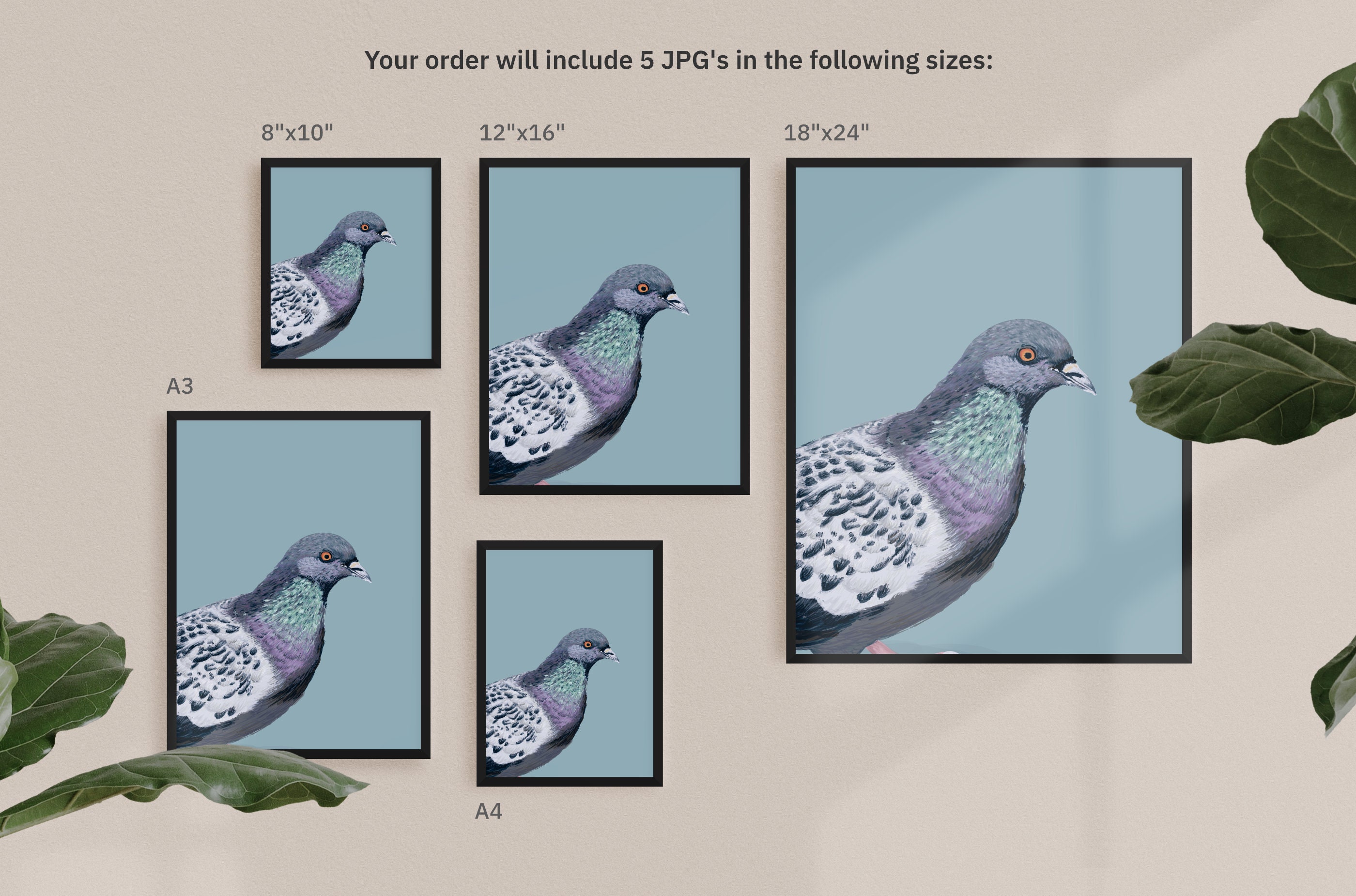 Pigeon Illustration - Printable Wall Art, Nature Poster, Instant ...