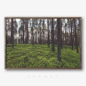 TALL TREES, Nature Prints, Landscape Prints, Big Prints, Large Prints ...