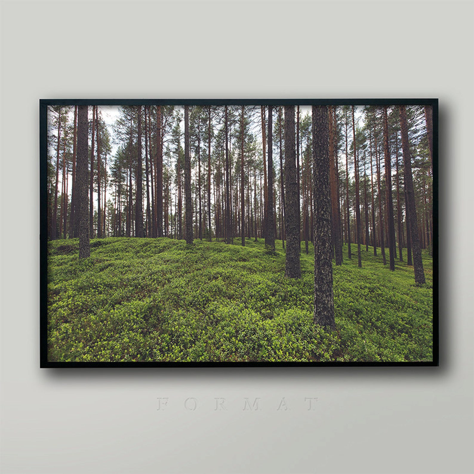 TALL TREES, Nature Prints, Landscape Prints, Big Prints, Large Prints ...